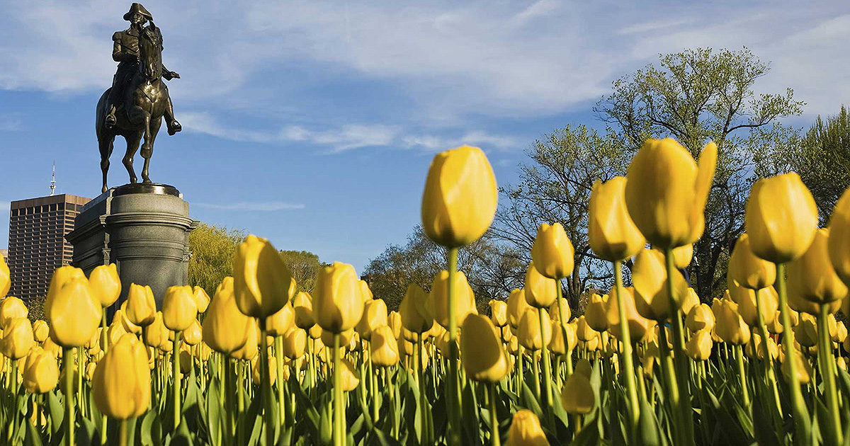 2 Days in Boston | How To See Boston in 2 Days