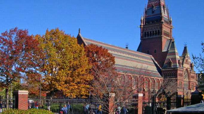 Harvard Square Things To Do and Information Guide