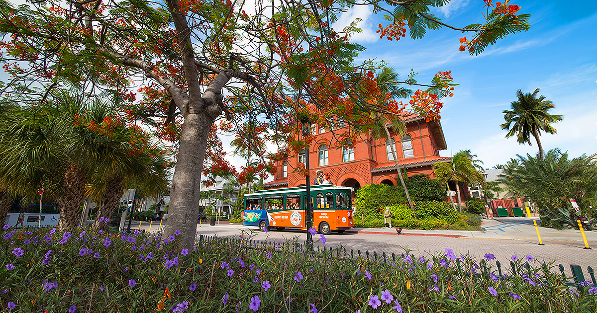 Visitor's Guide & History of the Duval Street in Key West
