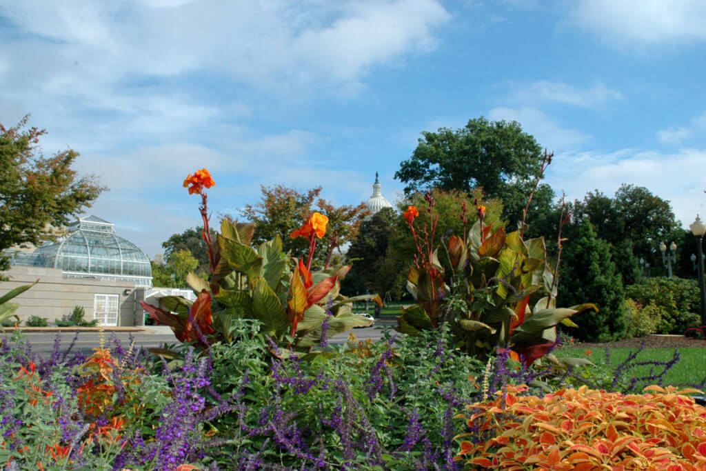 US Botanic Garden Information Guide