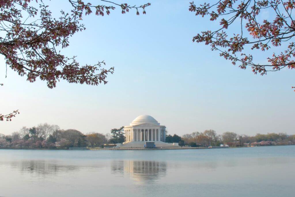 Things to Do in Washington DC In the Spring | DC Spring 2024