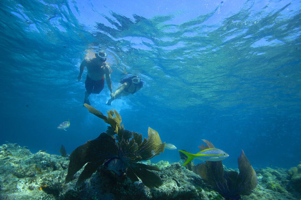 Things To Do In Key West In The Fall 2025