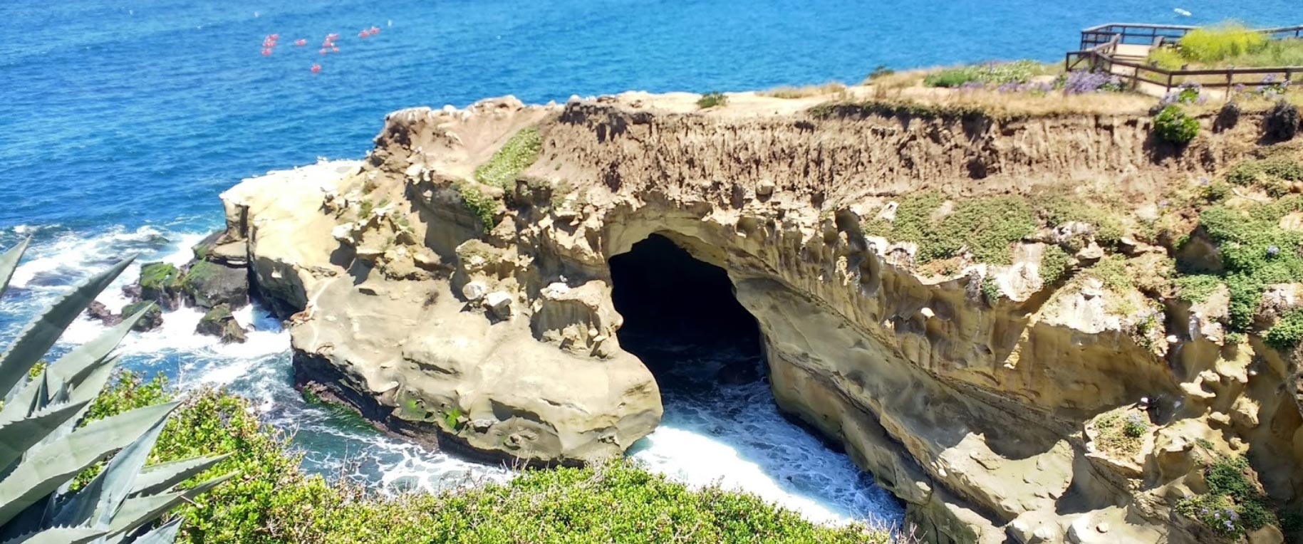 Day Trips From San Diego To La Jolla | San Diego Beach Tours