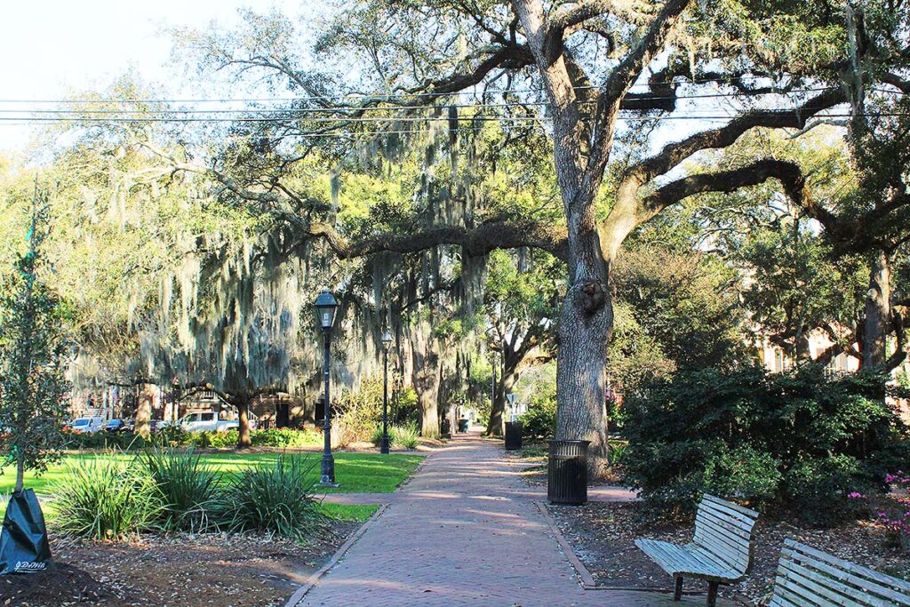 The Best Interactive Savannah Map For Planning Your Vacation