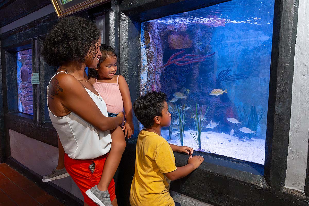 Key West Aquarium Information Guide for Visitors