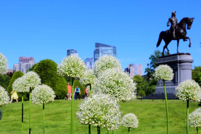 10+ Best Parks to Visit in Boston For Picnics & Relaxing