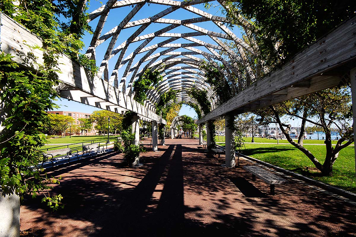 10+ Best Parks to Visit in Boston For Picnics & Relaxing