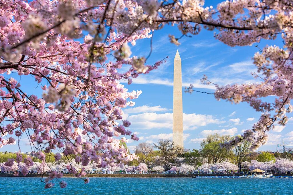 Most Scenic Views of Washington DC To See On Vacation