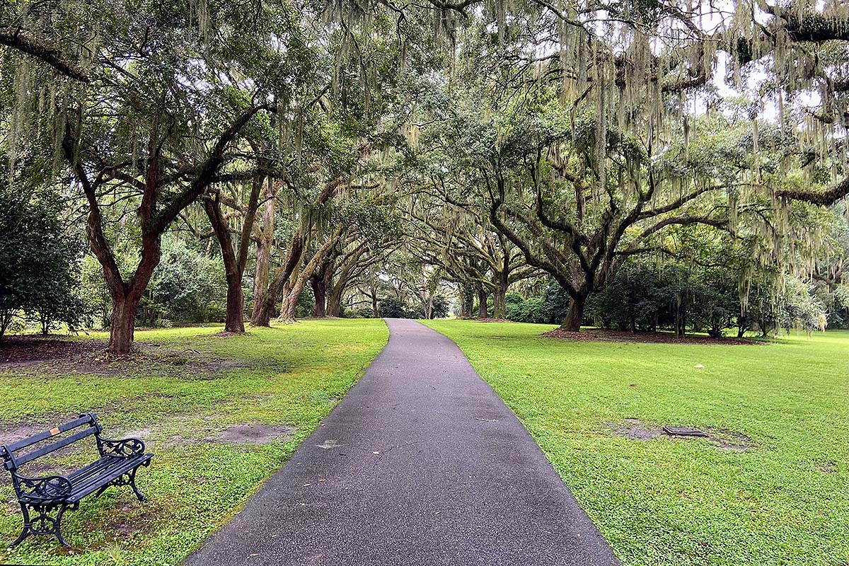 Top 10 Parks in Charleston for Nature Lovers and Families