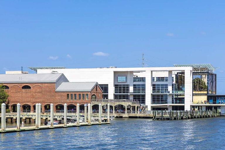 Charleston's Historic District Guide