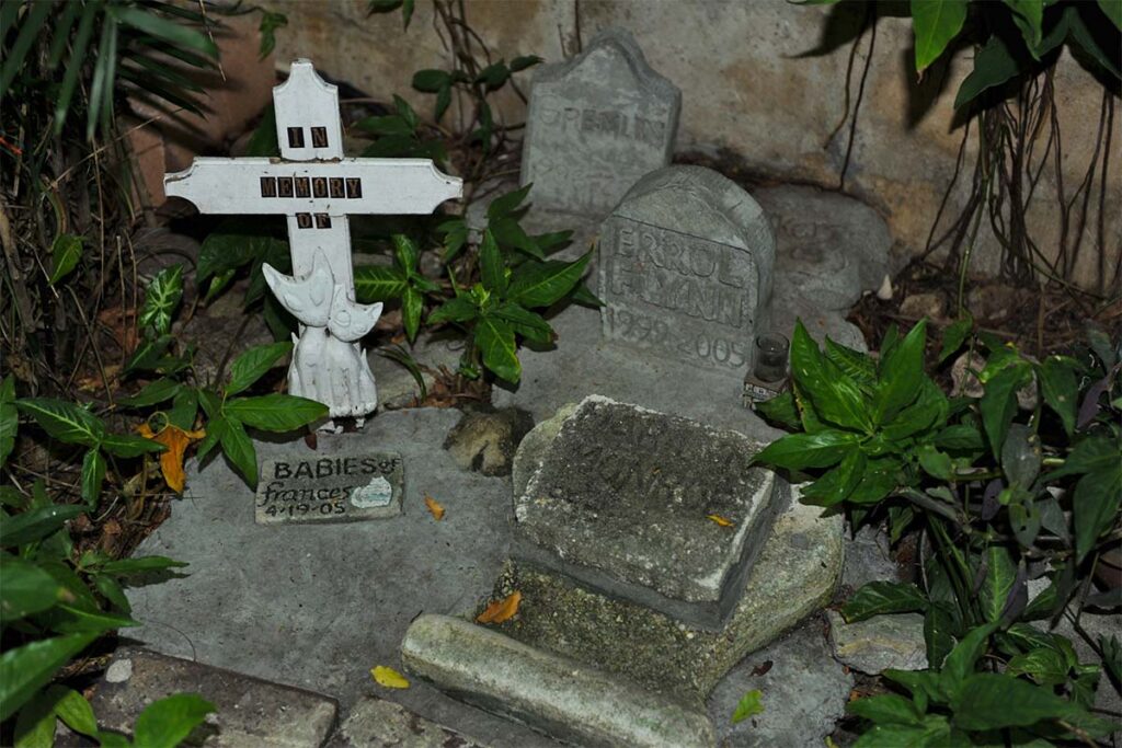 Ernest Hemingway Home Key West: Explore a Literary Landmark