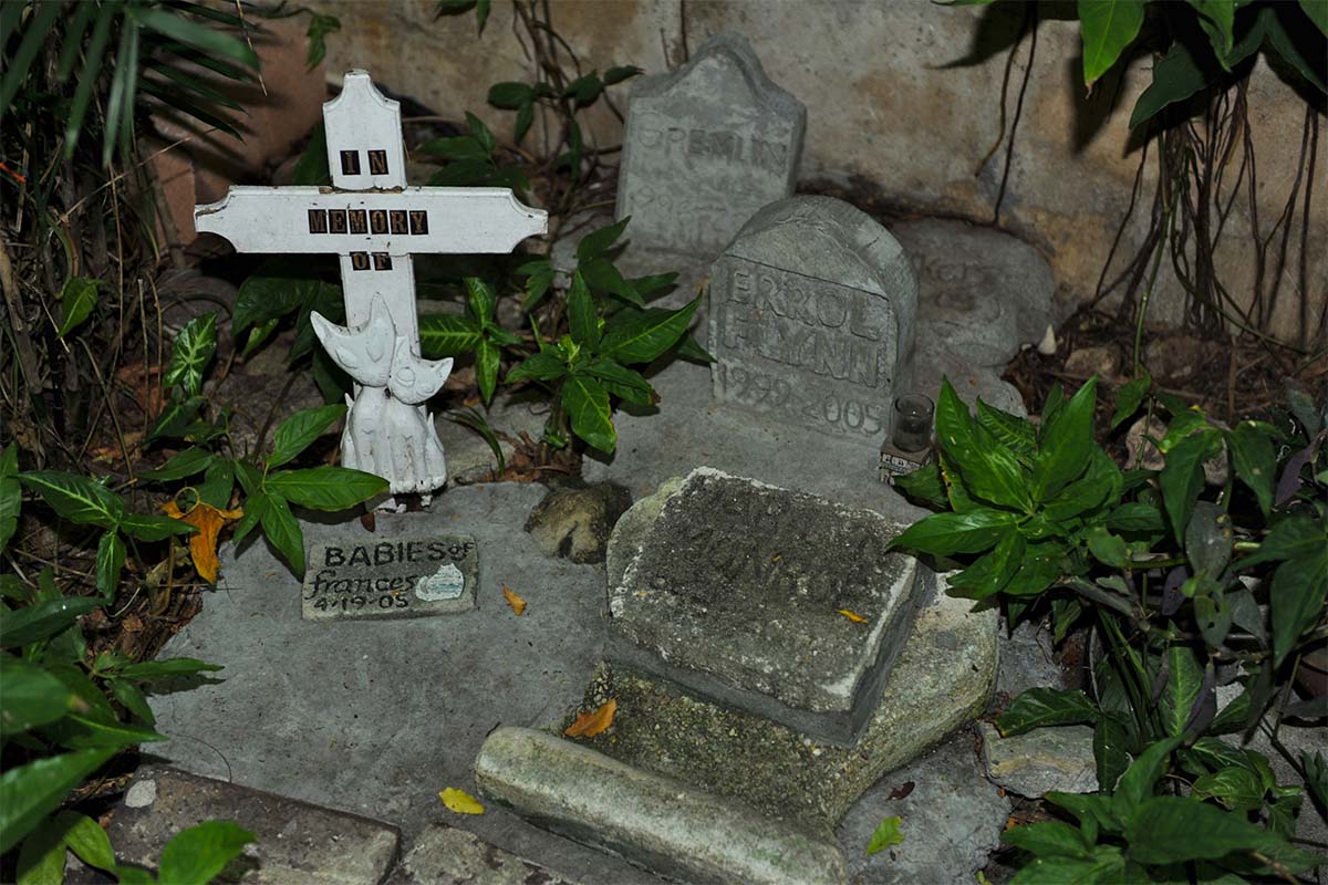 Ernest Hemingway Home Key West: Explore a Literary Landmark